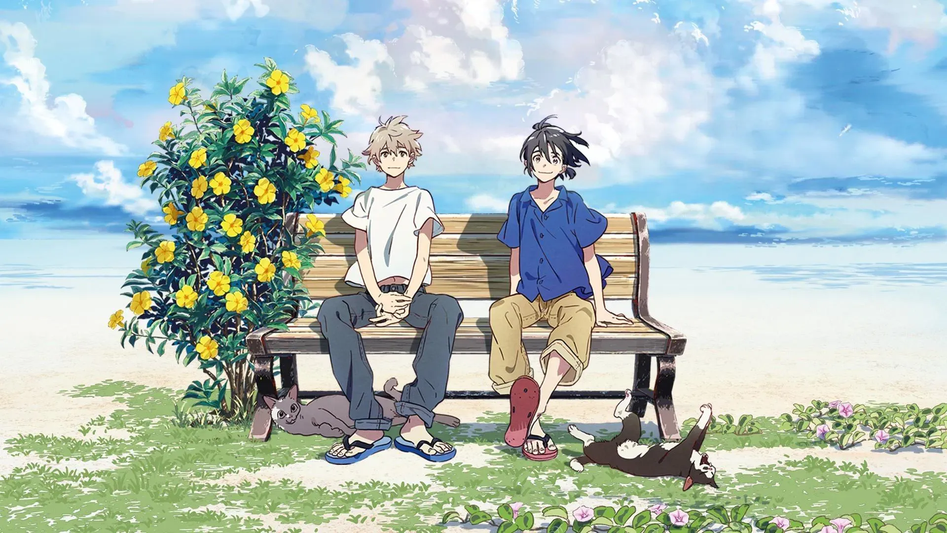 Phim Người Lạ Bên Bờ Biển HD Vietsub - The Stranger by the Beach - RoPhim